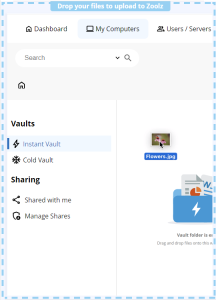 Secure Cloud Backup Solutions - Zoolz Business